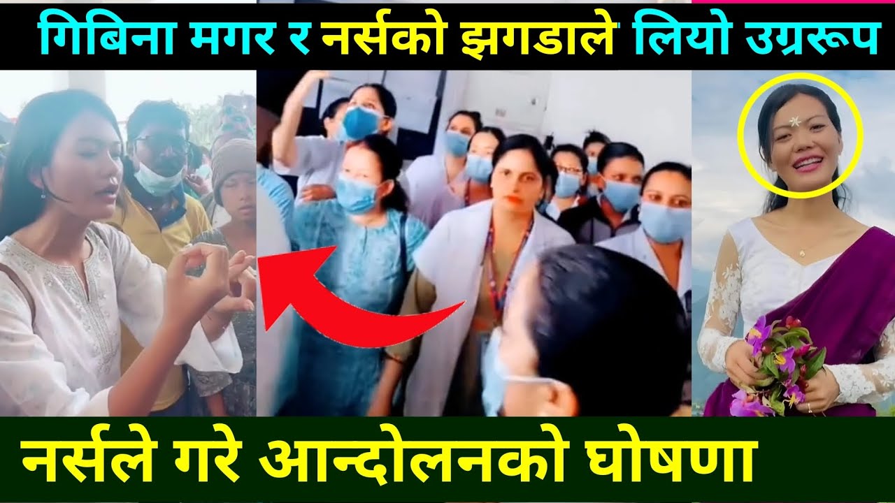 Givina Magar and Bharatpur cancer hospital nurse fight || Gibina magar ...