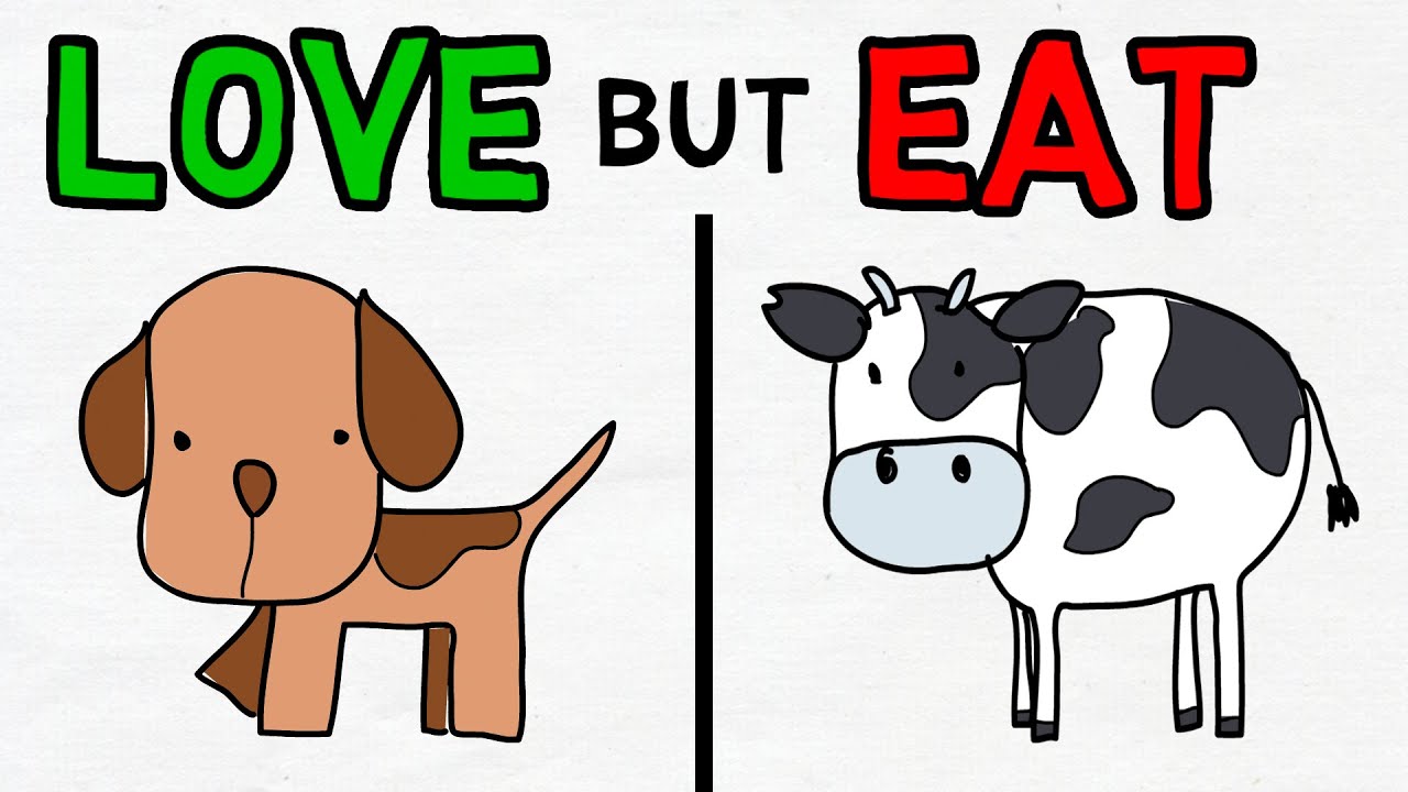 5 Everyday Examples of Cognitive Dissonance and Tips to Fix It - YouTube