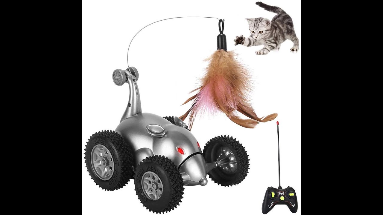 remote control cat toy( mouse car thing) review cat birthday - YouTube