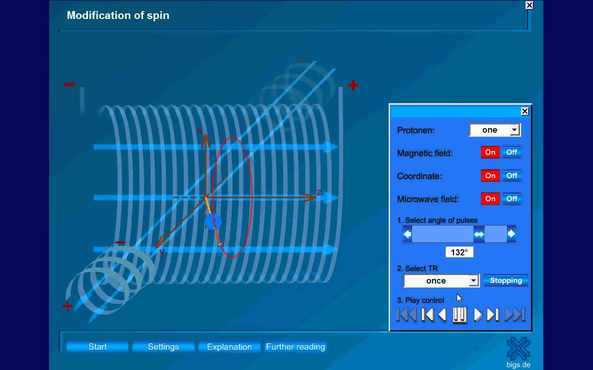 MRI - influence on proton spin; www.bigs.de - YouTube