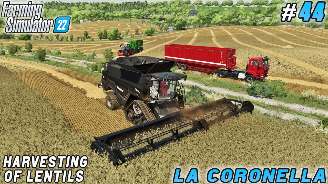 Gathering Oats, Lentils, and Straw during the Harvest | La Coronella ...
