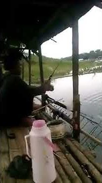 Mancing ikan nila, di waduk saguling.. - YouTube