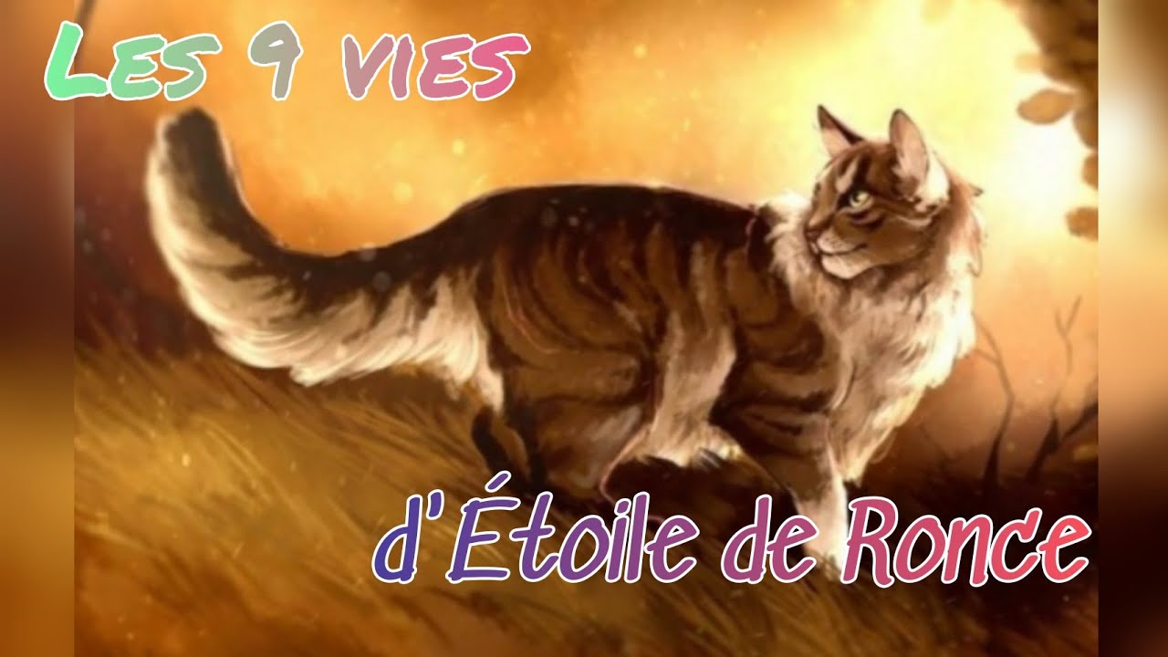 Les 9 vies d'Étoile de Ronce - YouTube