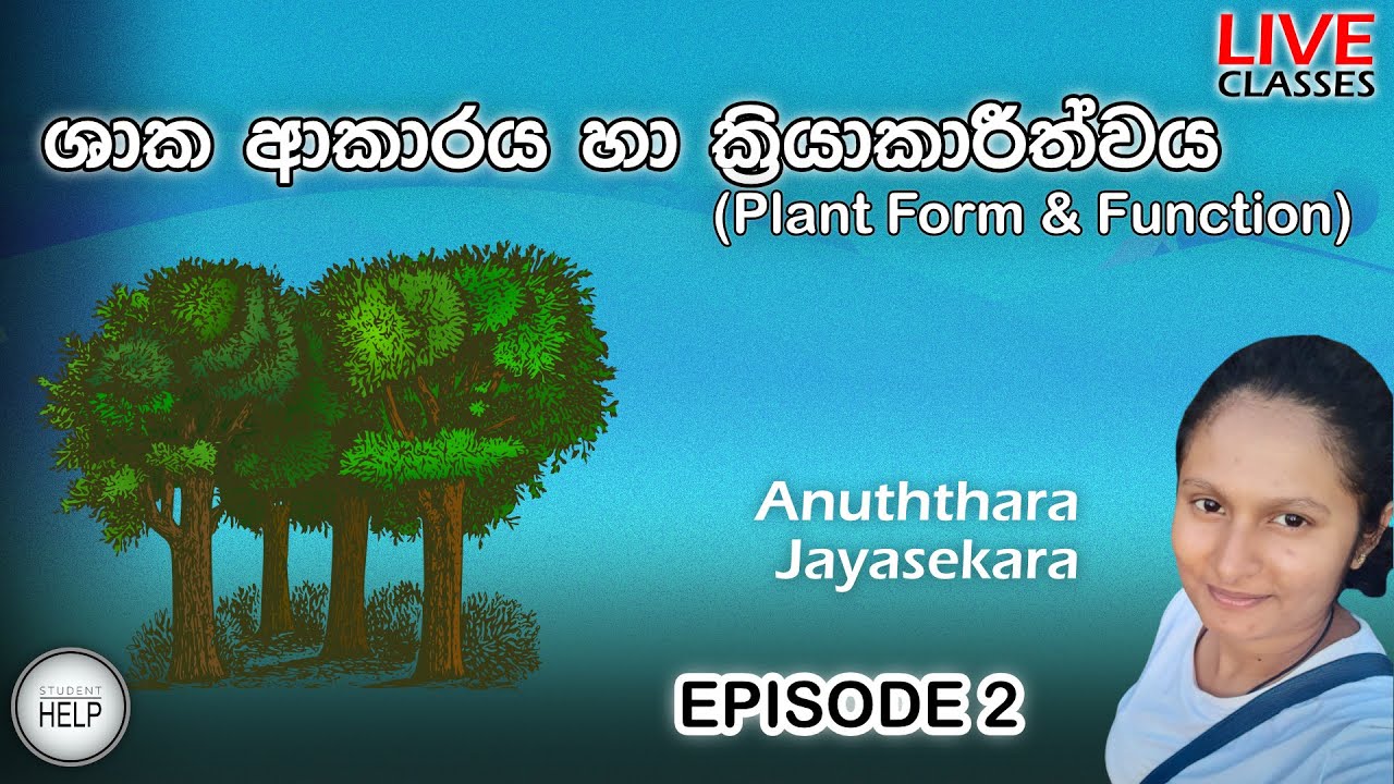 Student Help | Live Classes | Biology | Plant Form & Function | Episode ...