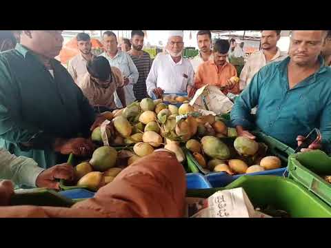 3 August 2026 🥭 Mango Varieties Live Auction | Biggest Wholesale Mango Market Hyderabad