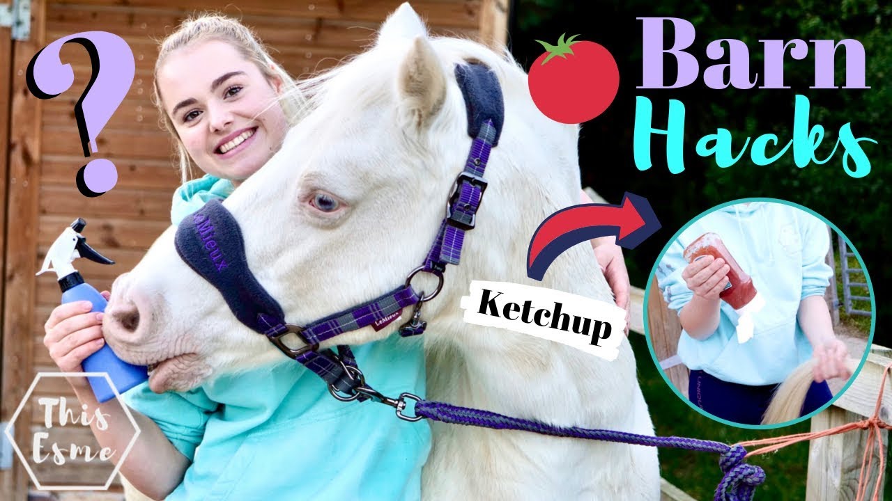 BARN HACKS | Life Hacks Every Equestrian NEEDS to Know! | This Esme ...