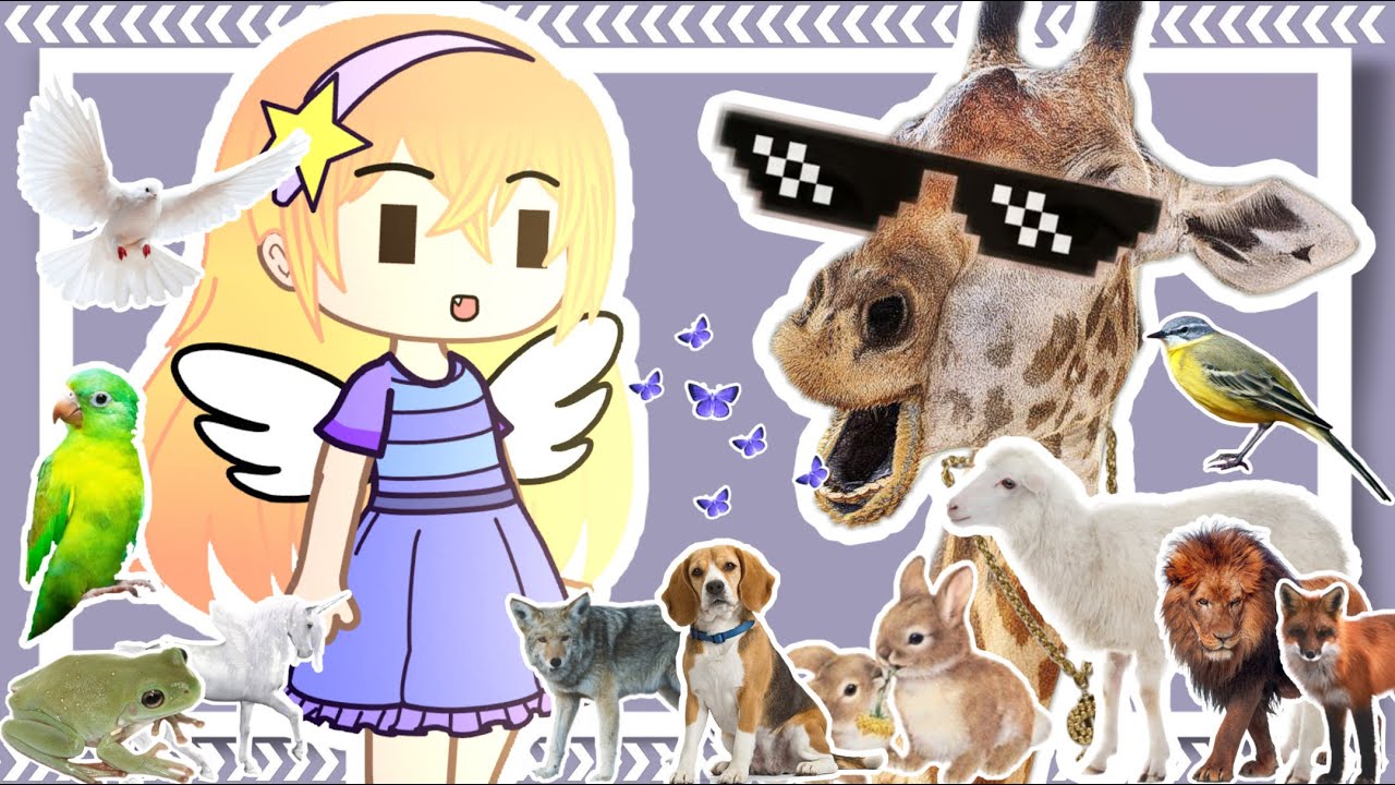 Do what I do and make random animal sounds~ - YouTube