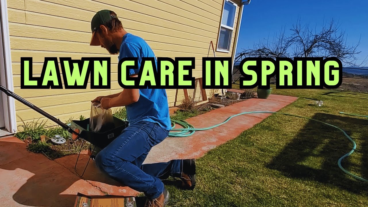 The 9 Most Important Spring Lawn Care Tips Of Them All - YouTube