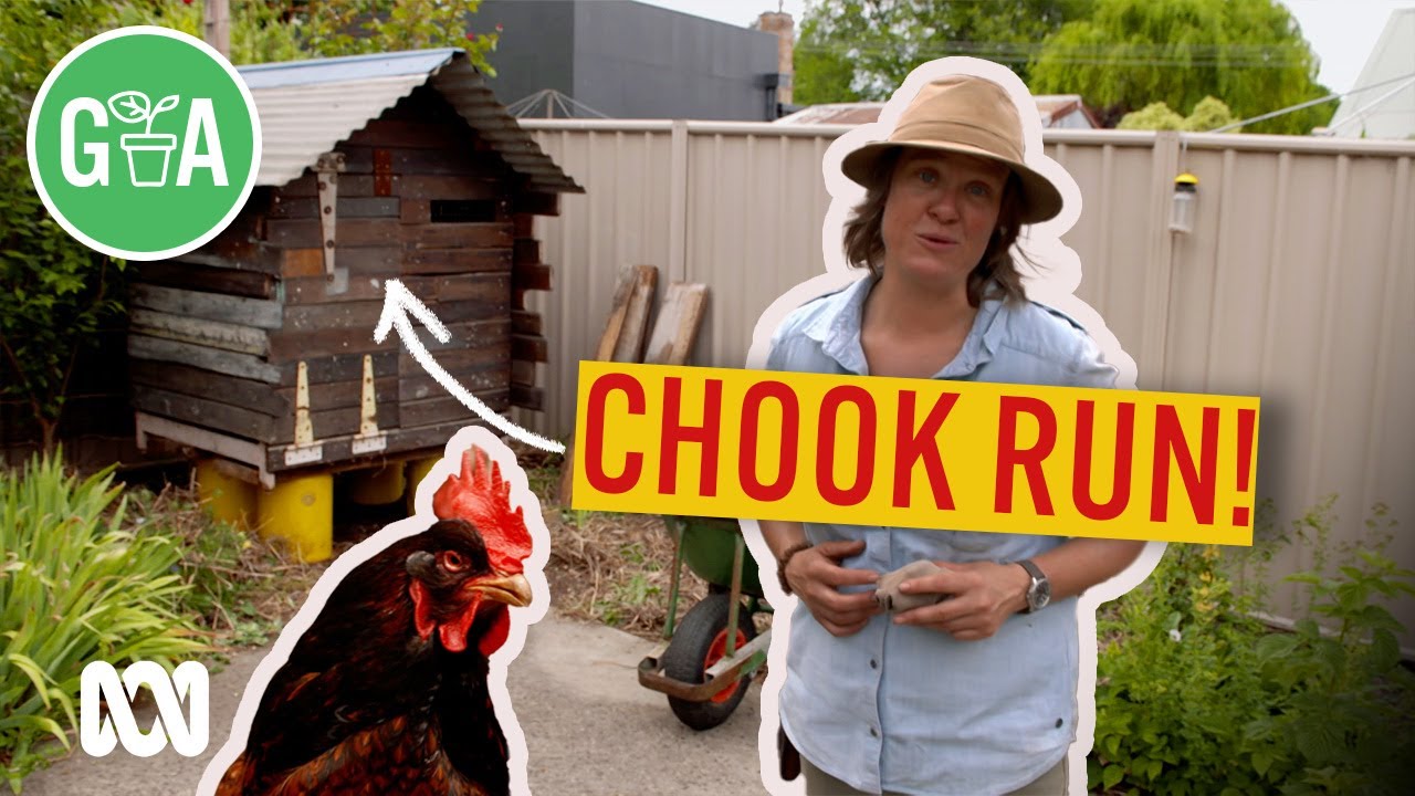 Build Your Own Chook Run! | DIY Garden Projects | Gardening Australia ...