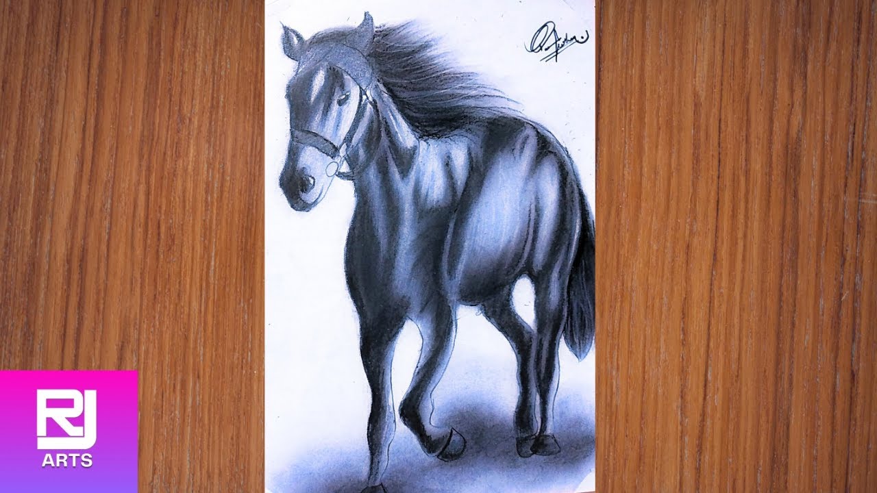 How to draw black shiny horse || sketch of black horse || easy and step ...
