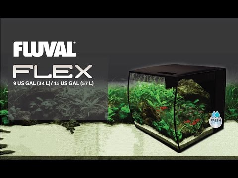 Setting up the Fluval Flex fish tank aquarium - YouTube