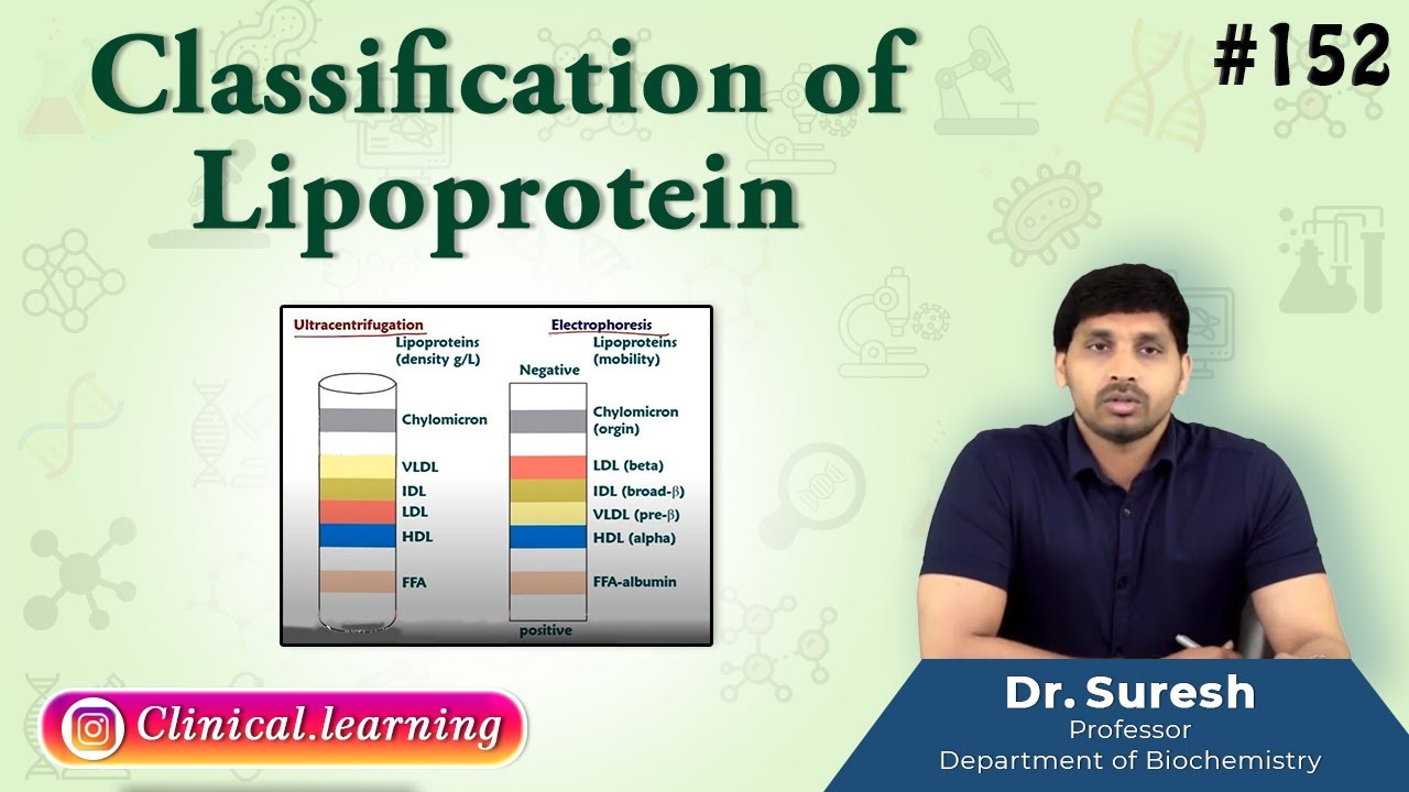 152. Classification of Lipoprotein - YouTube