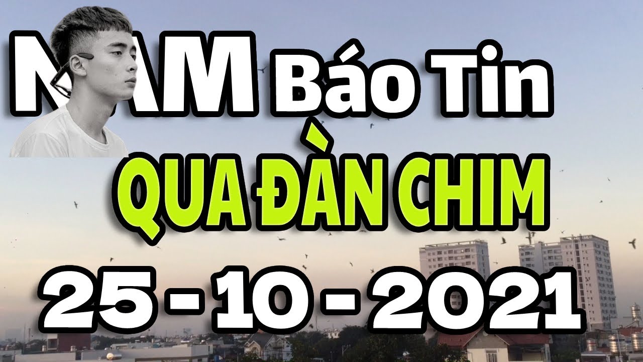 Nam Ok Tiếp Tục Về Quanh Nhà Team Duy Thuong Hôm Nay 29 - 10 - 2021 ...