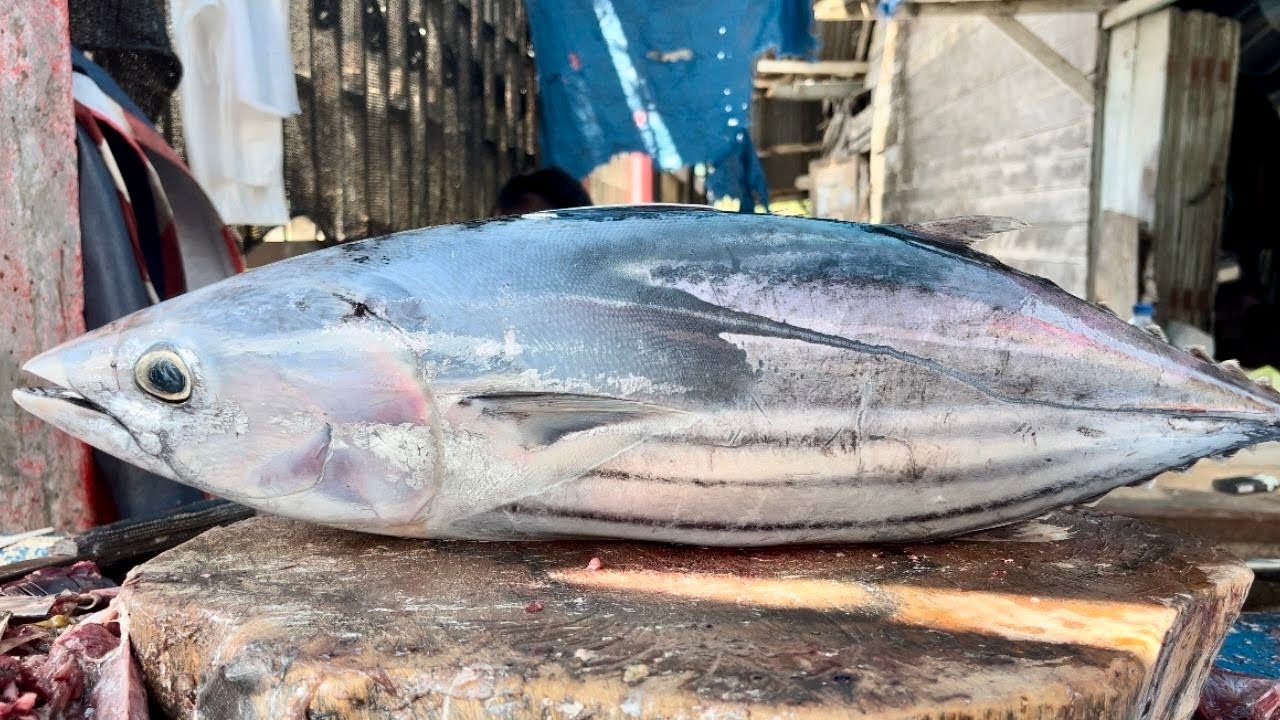 TUNA Fish Cutting | Cleaning Skills Impressive Results! - YouTube