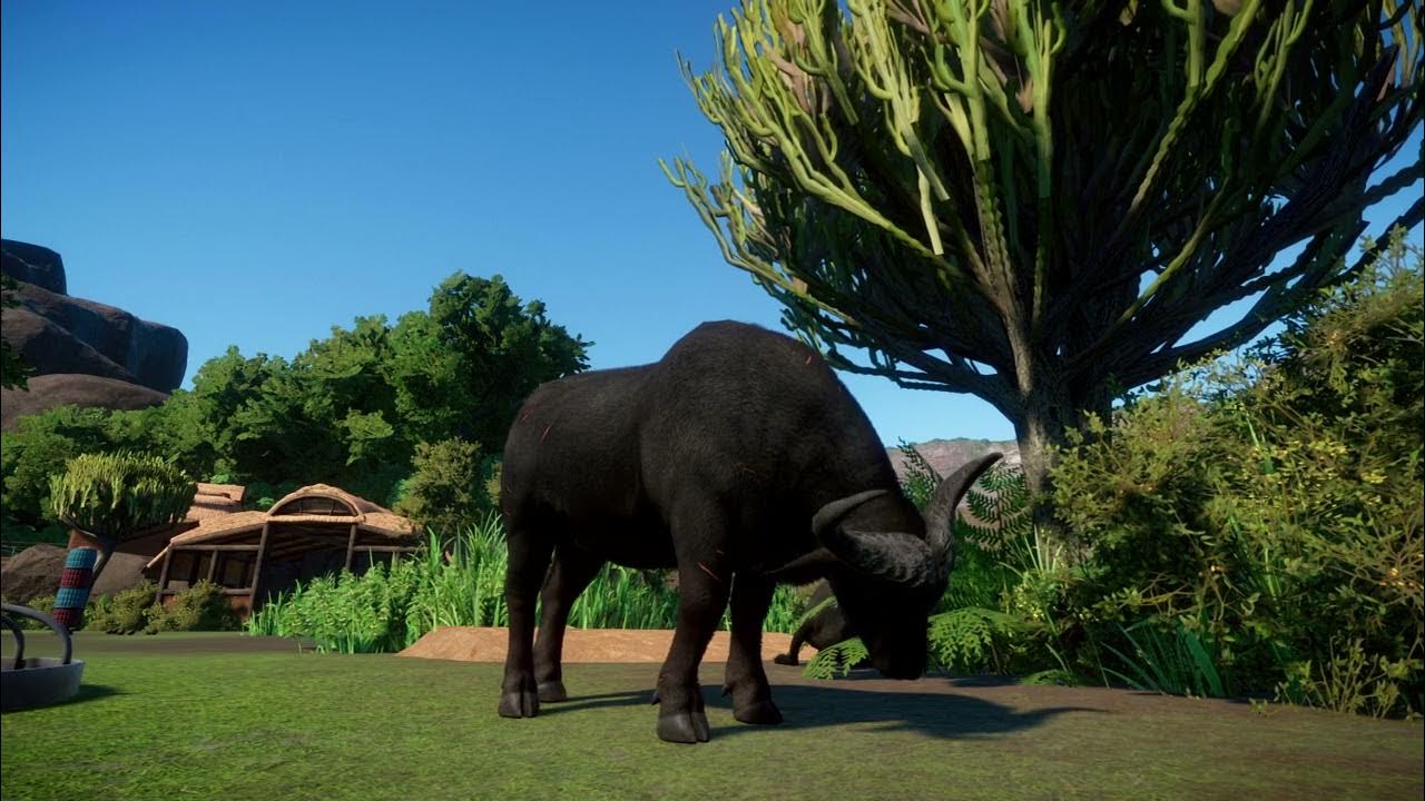 African Buffalo | Planet Zoo Animals - YouTube