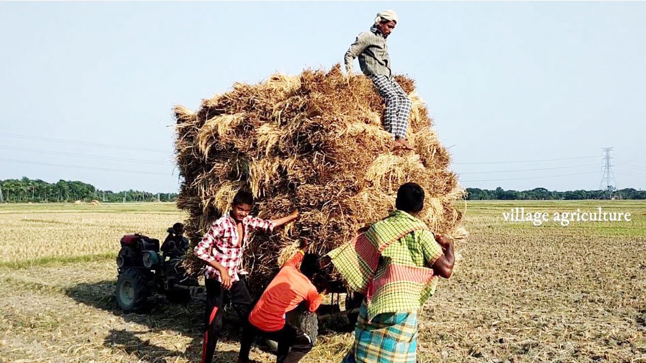 See power tiller's tractor power | How to go with rice loading - YouTube