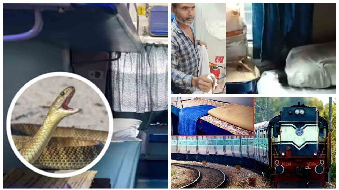 AC Train Hygiene Revealed | Snake Causes Panic on Train - YouTube