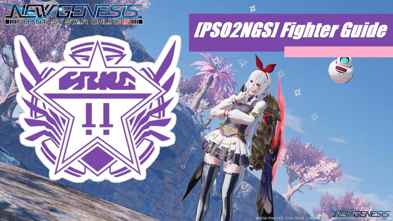[PSO2NGS]Fighter Guide - YouTube