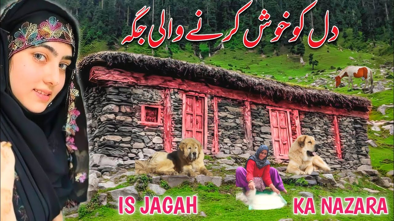 new gojri song 2024 gojri geet gojri bait gojri gana pahari song pahari ...