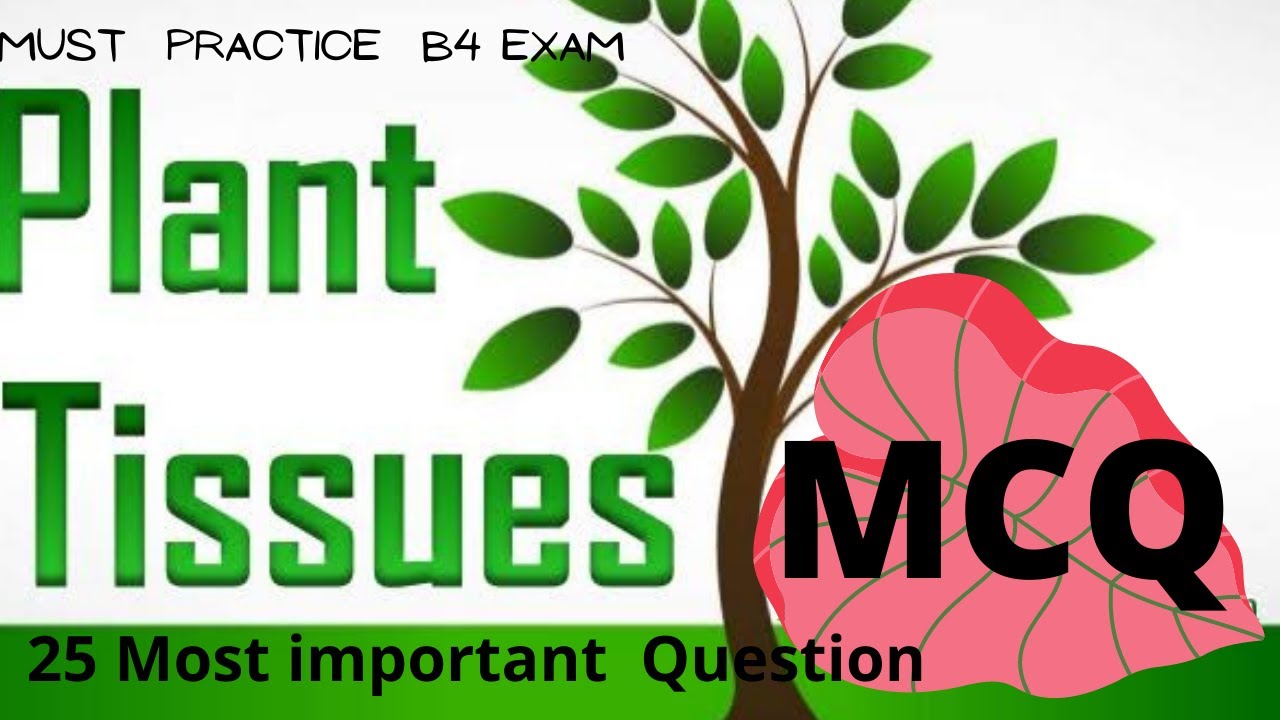MCQ of tissue|Plant tissue Mcq|Mcq of tissue class 9|Tissue|class9 ...