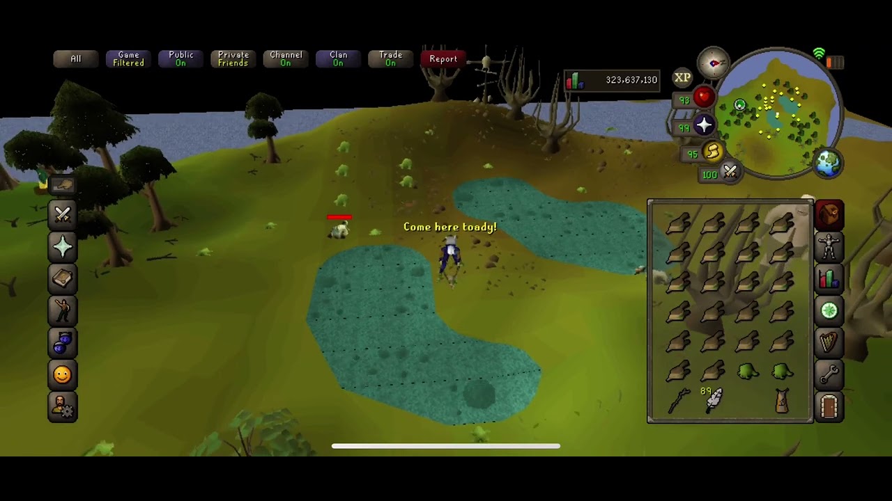 Chimpy Chompy bird hunting OSRS Elite dairy - YouTube