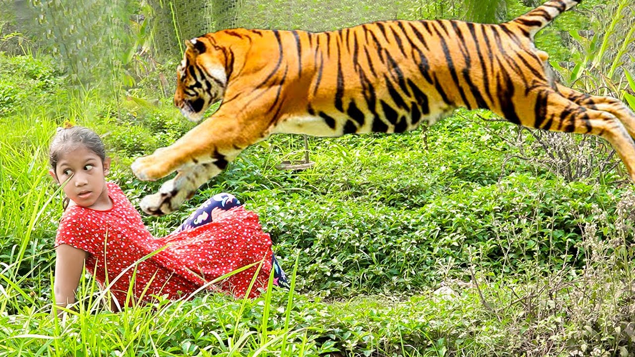 Tiger attack kids in the forest - YouTube