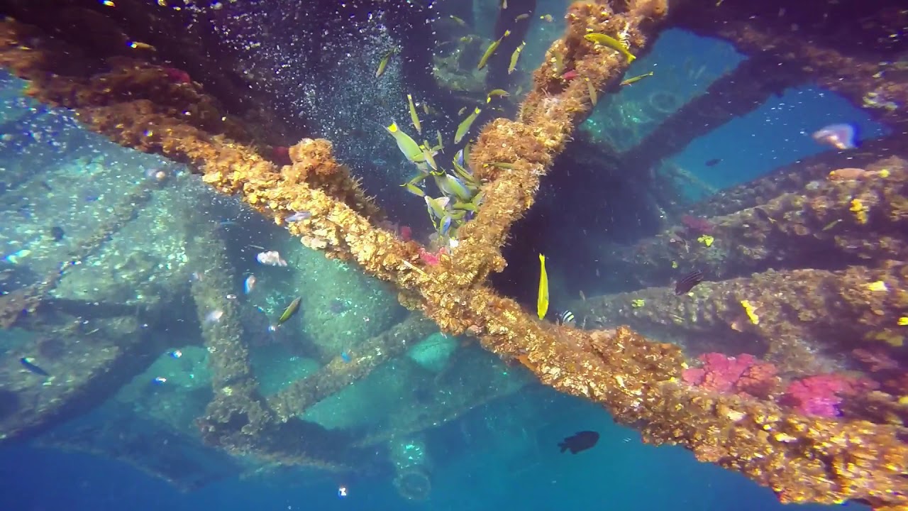 Diving HMAS Brisbane Wreck Swimming Down the Funnel - YouTube