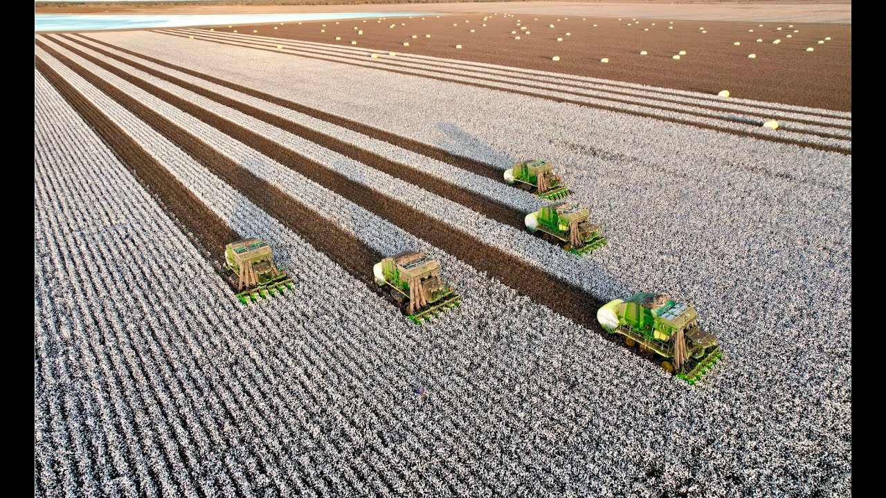 CP770 Essentials Bonus Module 1- Aussie Ready - YouTube