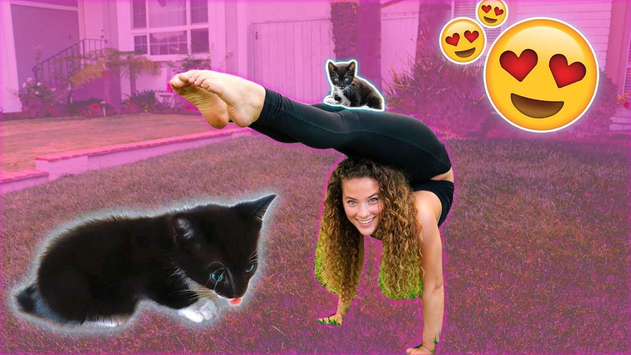 I GOT A KITTEN?!? - YouTube