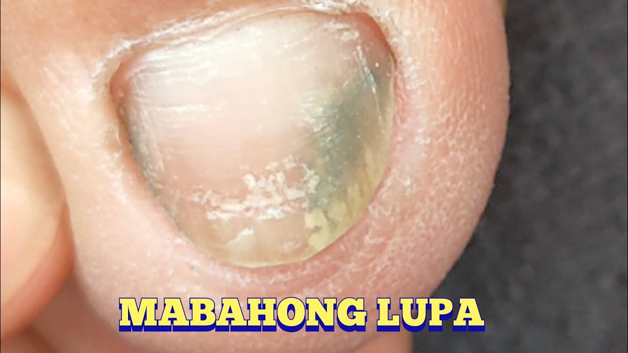 LUPA NA MABAHO. - YouTube