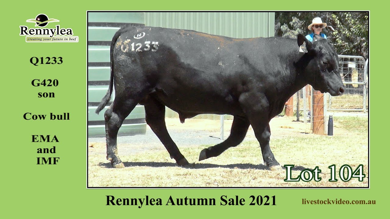 Lot 104 Rennylea Autumn 2021 - YouTube