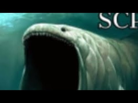 SCP-Bloop - YouTube