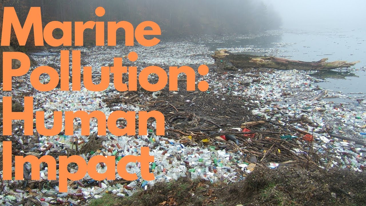 "Beyond the Surface: The Devastating Impact of Marine Pollution on ...