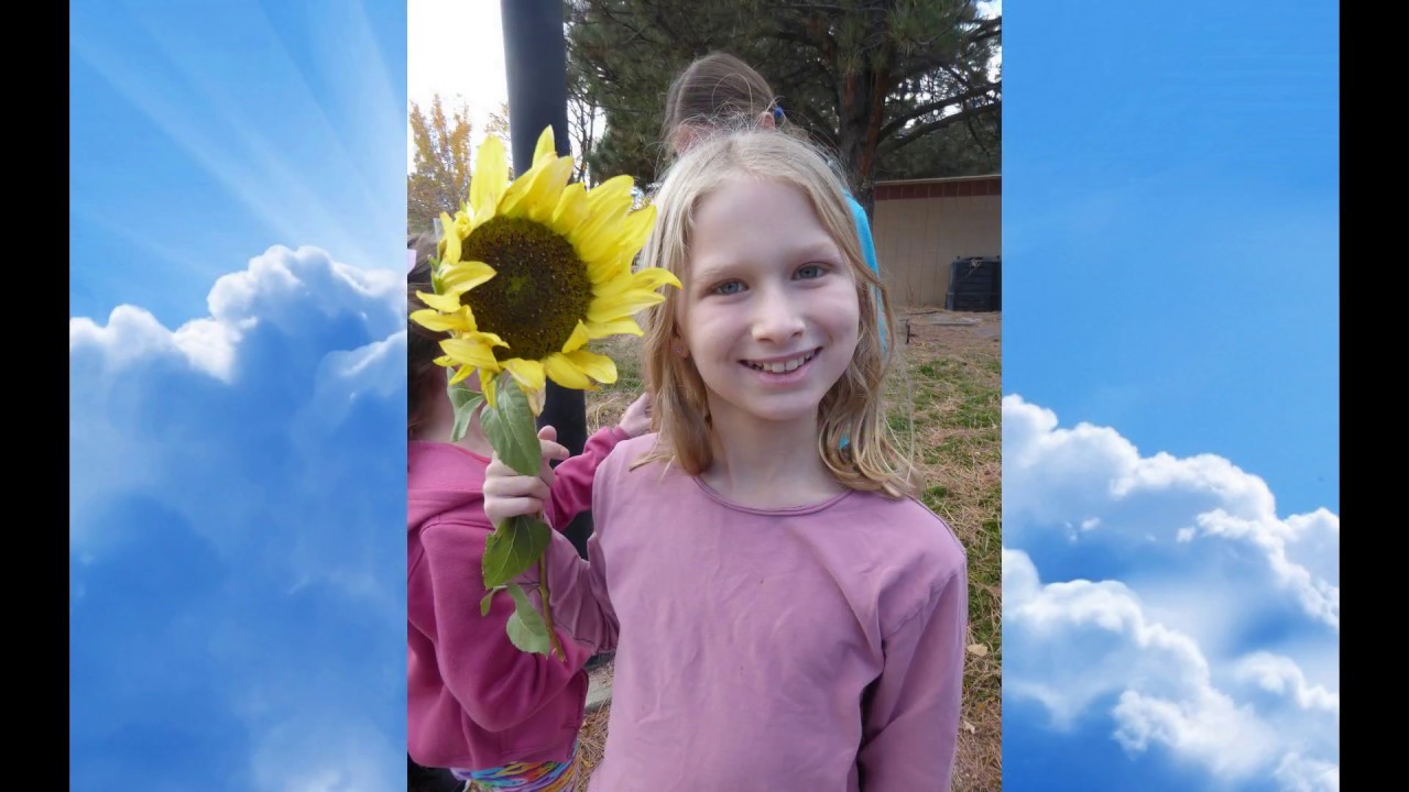 Fireside Elementary 2016-2017 Year in Review - YouTube