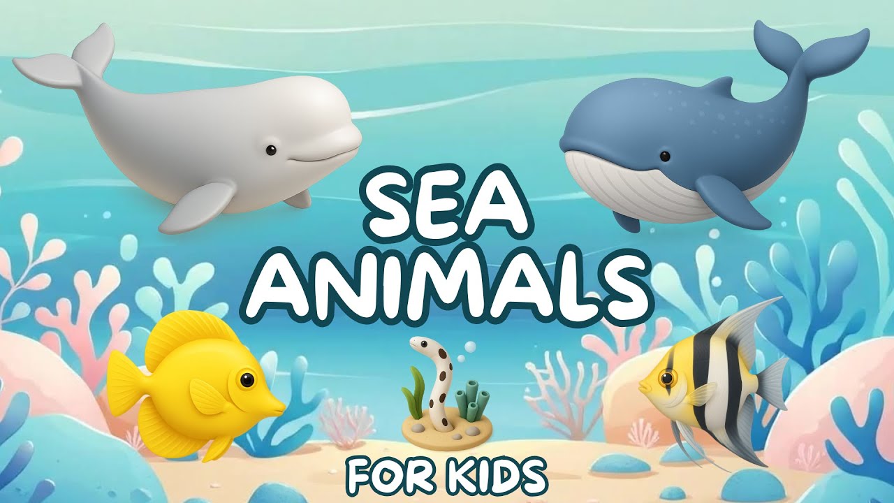 Sea Animals - Learn Sea Animals for Kids - English educational video ...