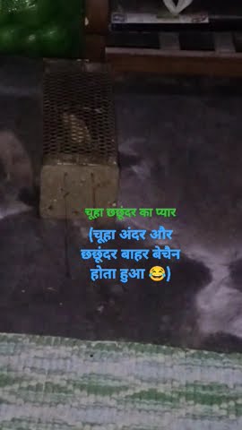 #rat #chachundar #love#chuhalovechachundar - YouTube