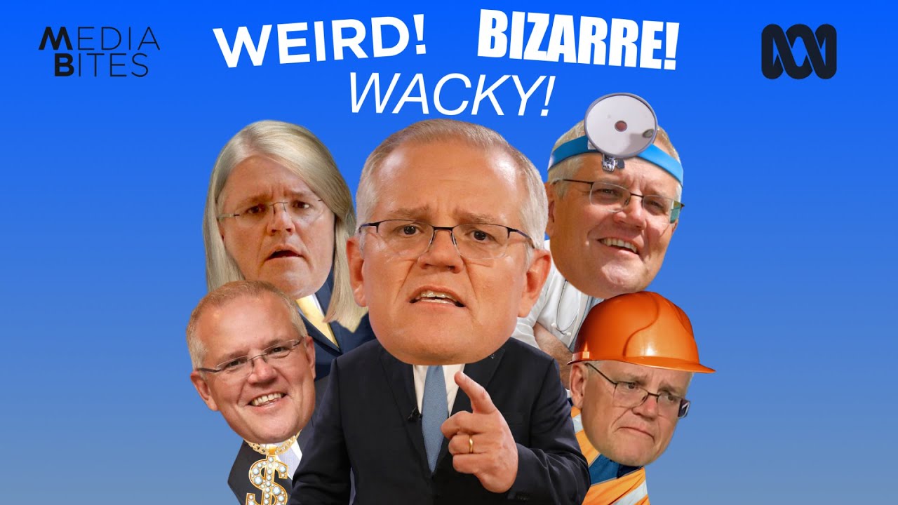Weird. Wacky. Bizarre. | Media Bites - YouTube