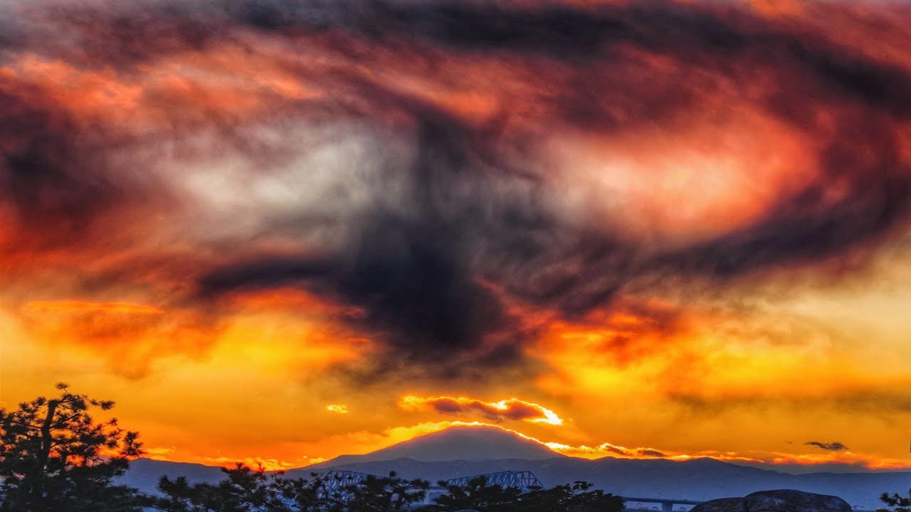 Segel "Kyuubi" di Jepang Telah Rusak... - YouTube