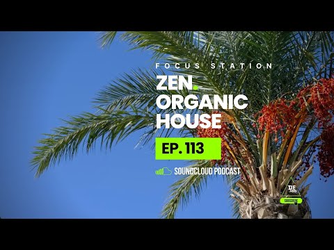 🍃 Zen Organic House #113: Focus Music & Workout Warm-Up Session 有机浩室