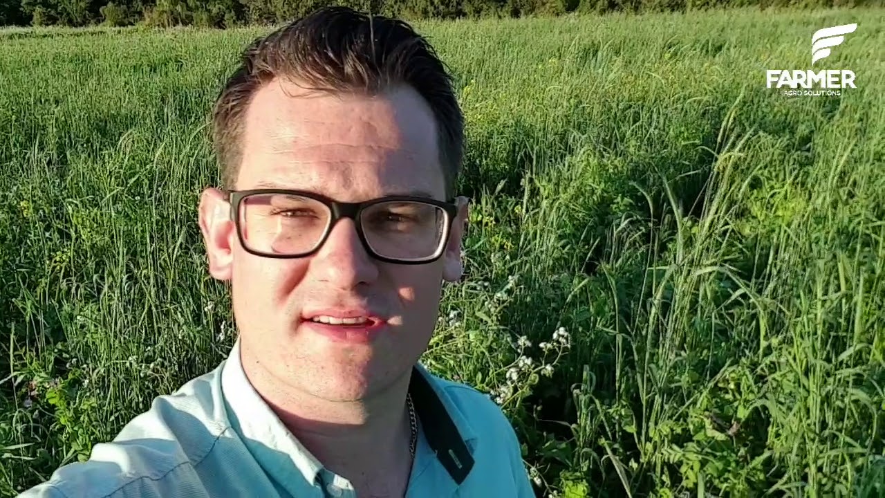 Adubação Verde Pré Milho Raix 520 - Farmer Agro Solutions - YouTube