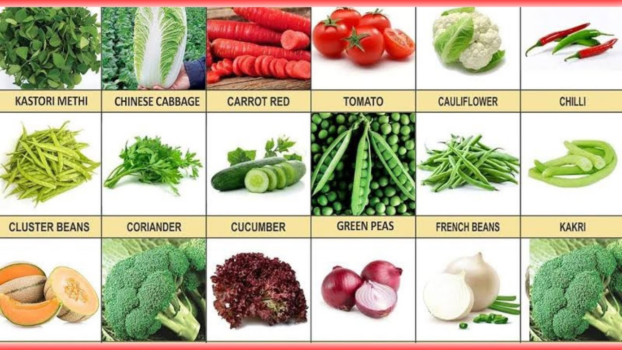 Vegetable Names With Pictures | Different Types Of Vegetables | Supper ...