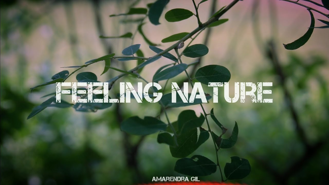 Feeling Nature | Amarendra Gil | view Nature 🌿 | - YouTube