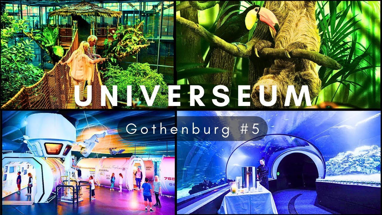 Universeum - An absolute MUST when in Gothenburg│Sweden Trip #5 - YouTube