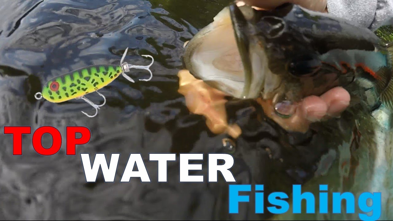 Insane Topwater Bite - Prespawn Bass Fishing - YouTube