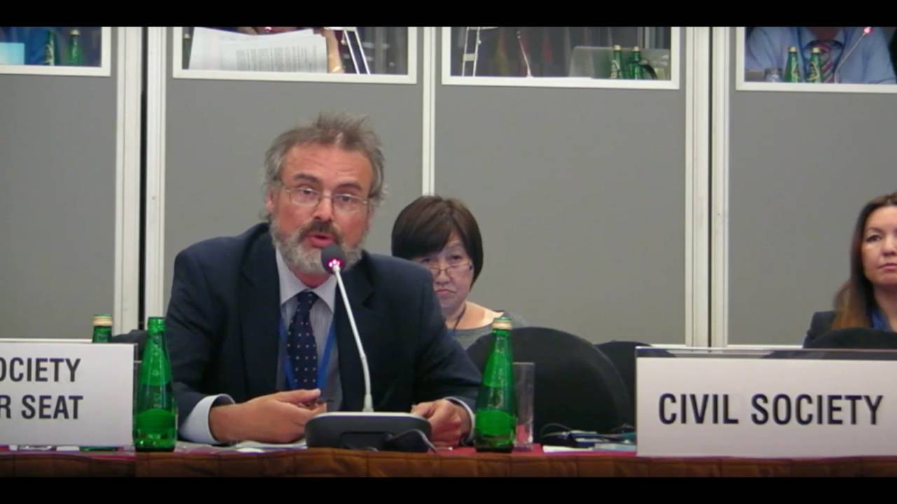 Prove! campaign statement at the OSCE Meeting in Warsaw - YouTube