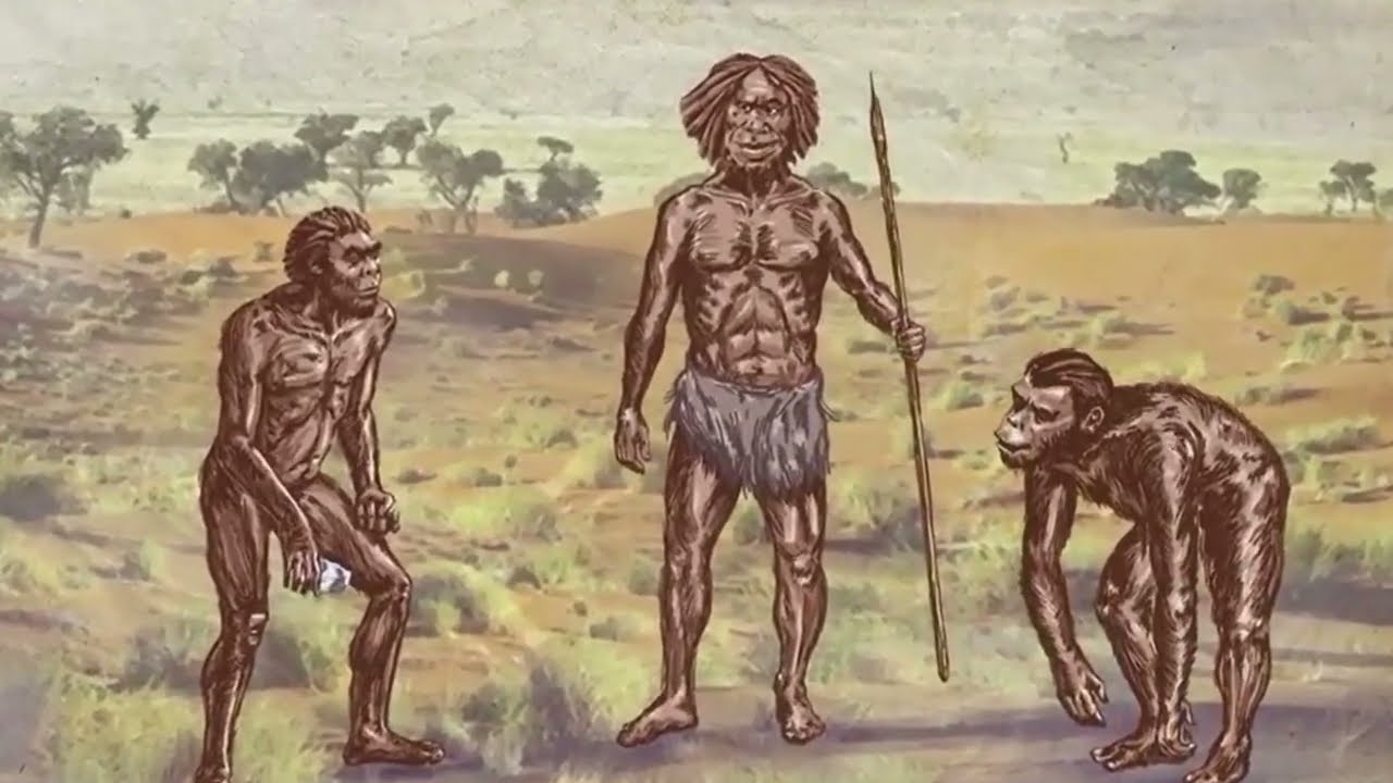 Where Does Human Come From? | The Evolution of Human Part 1 - YouTube