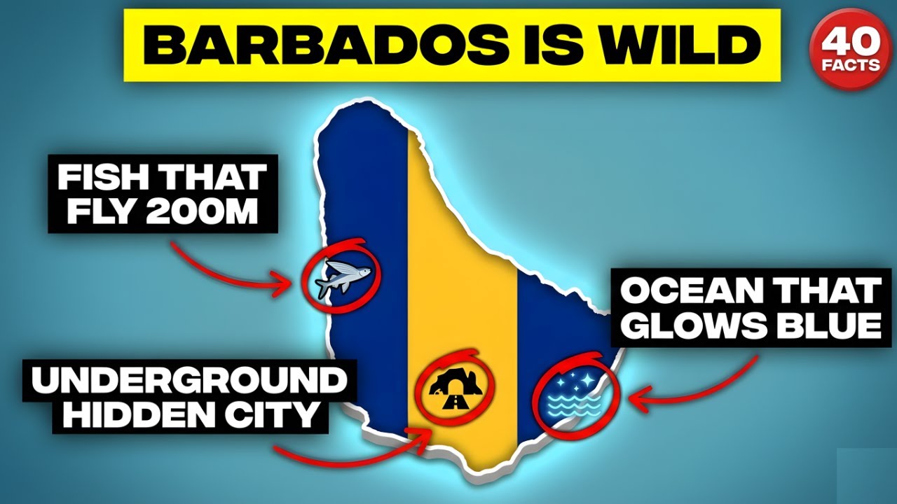 Barbados Facts That Sound Fake (They're Not) - YouTube