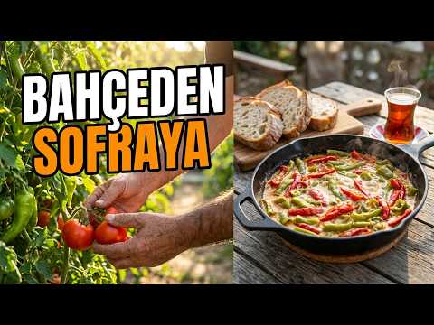 Şehirden Çok Uzakta Bir Sabah… Kahvaltımı Bahçeden Topladım!