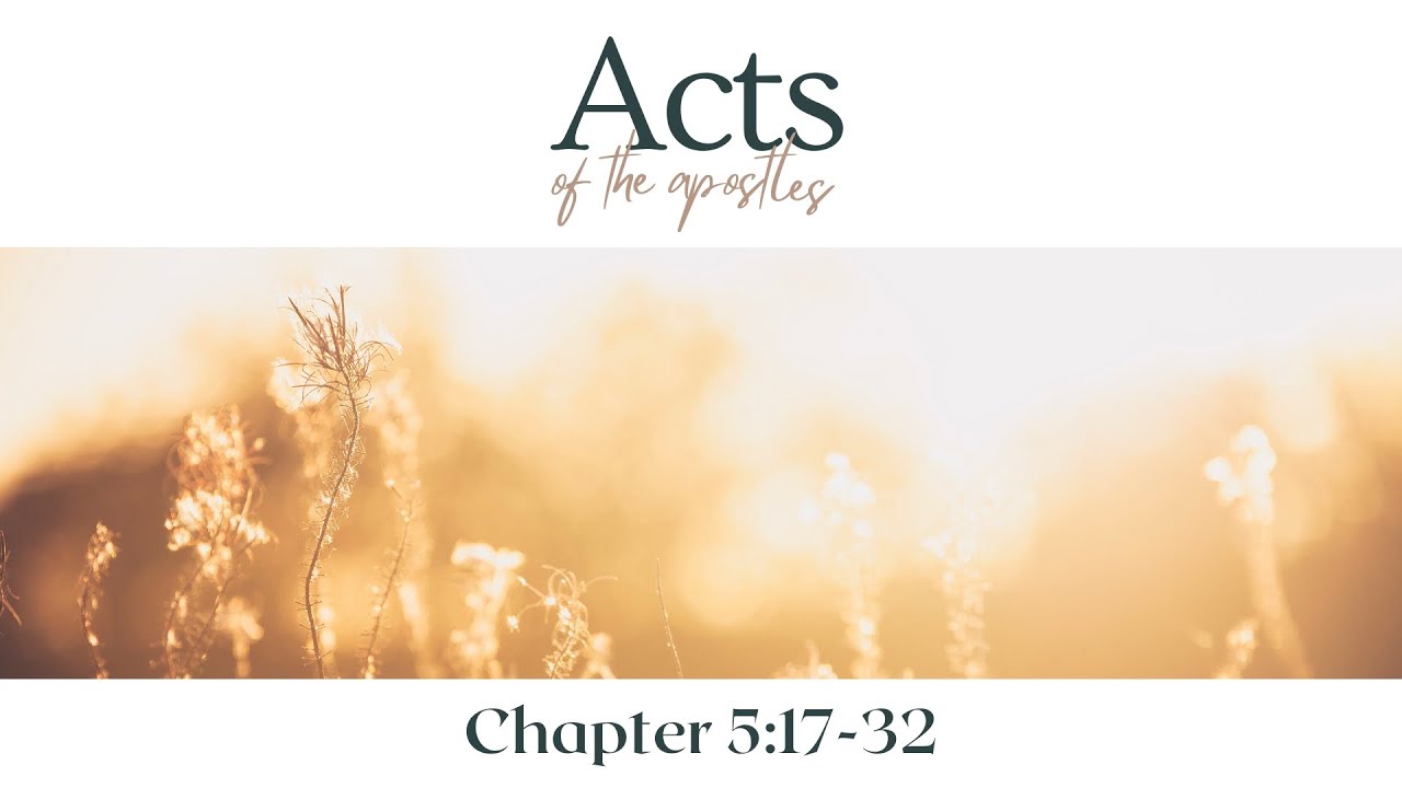 Acts 5:17-32 | Women's Bible Study (November 17, 2022) - YouTube
