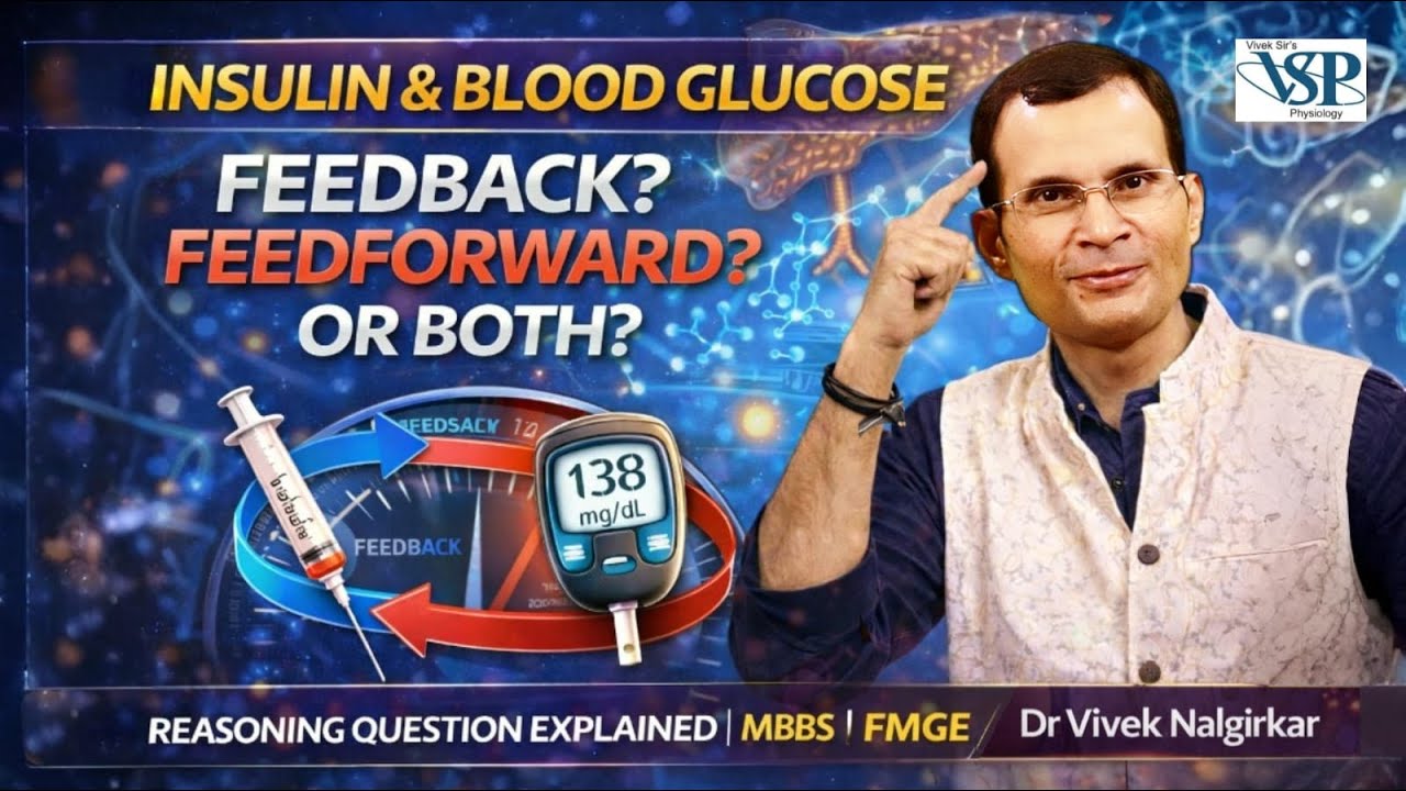 Insulin & Blood Glucose Regulation: Feedback or Feedforward ...
